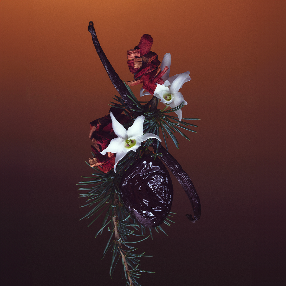 Eau de parfum 402 with vanilla, caramel and sandalwood – Bon Parfumeur