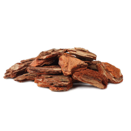 Cedar perfume | Bon parfumeur – Bon Parfumeur