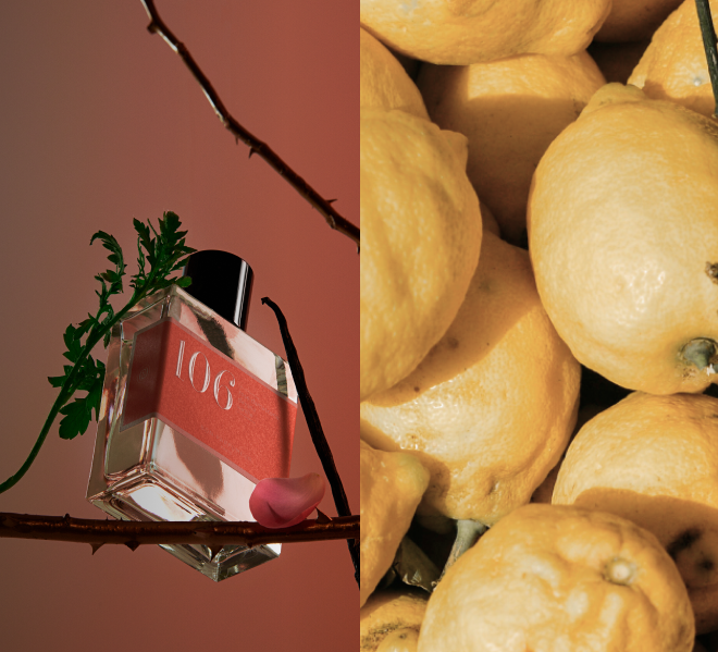 Workshop Set Full Collection - 30 mini perfumes made in France & clean – Bon Parfumeur