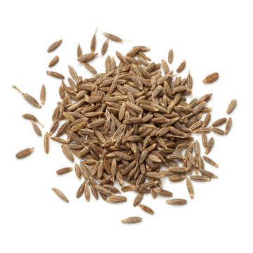 Cumin Perfume | Bon Parfumeur