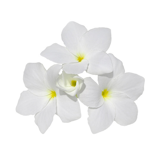 Tiare flower perfume| Bon parfumeur – Bon Parfumeur