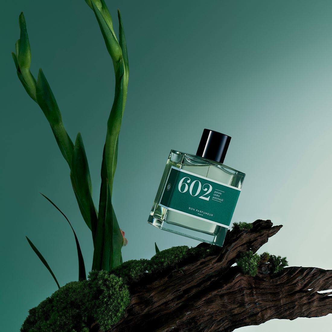 Eau de parfum 602 with black pepper, cedar and patchouli – Bon Parfumeur