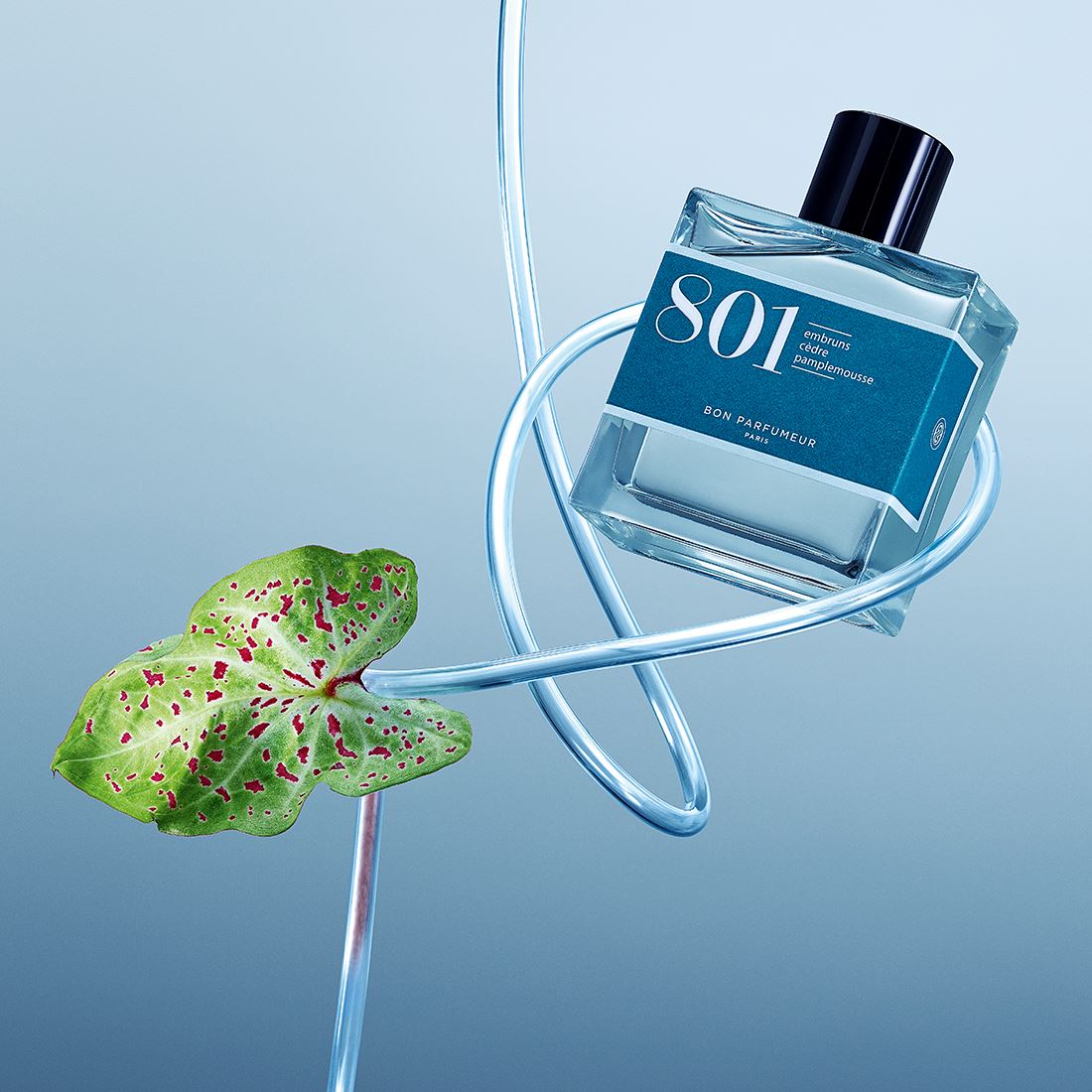 Eau de parfum 801 with sea spray, cedar and grapefruit – Bon Parfumeur