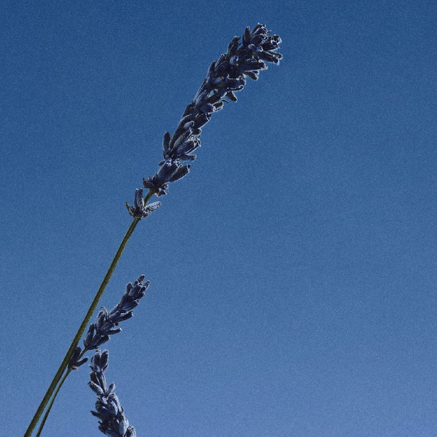 Eau de parfum 701 EN - Bon Parfumeur